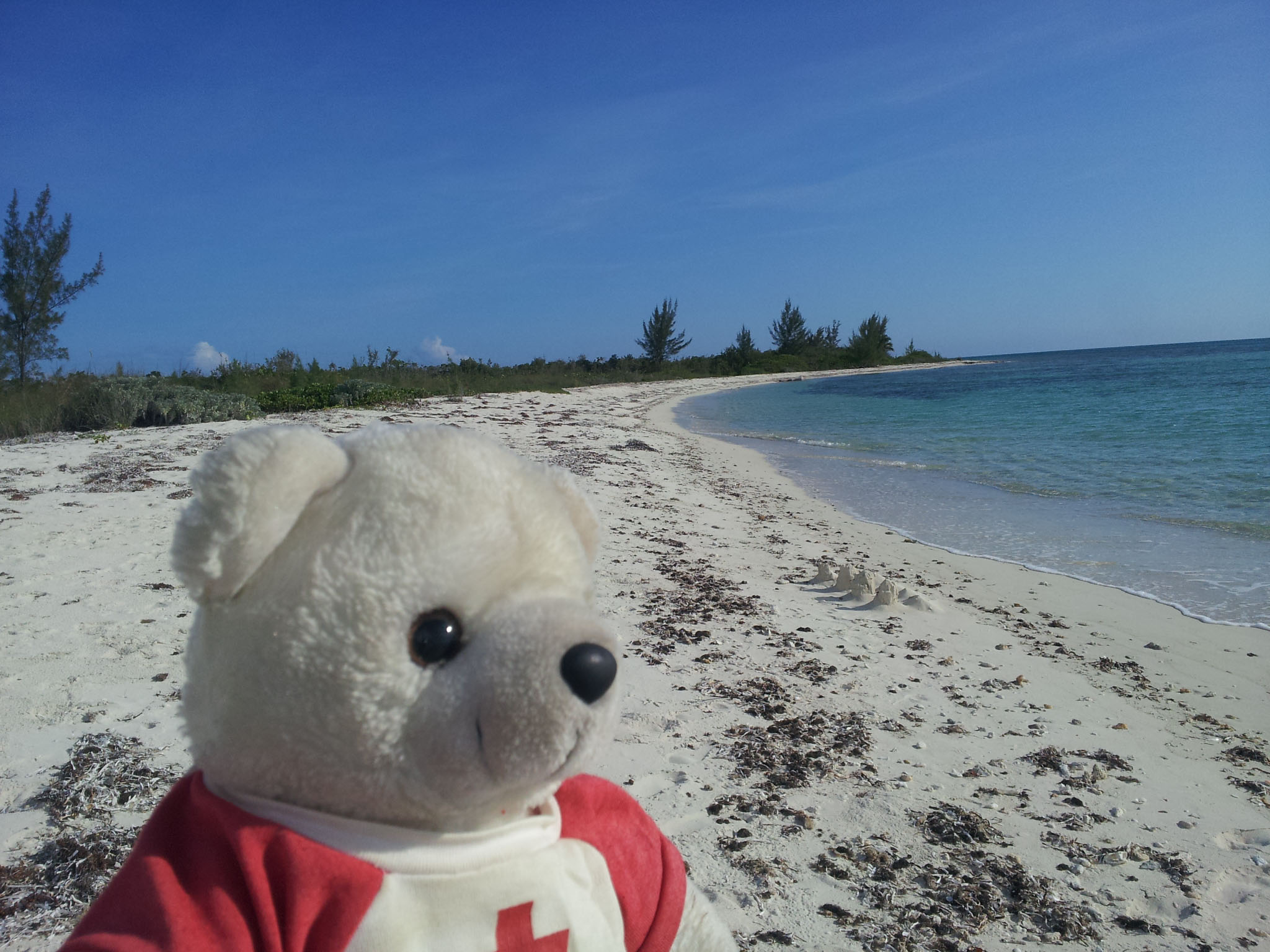 Red Cross Bear | kr2worldtour